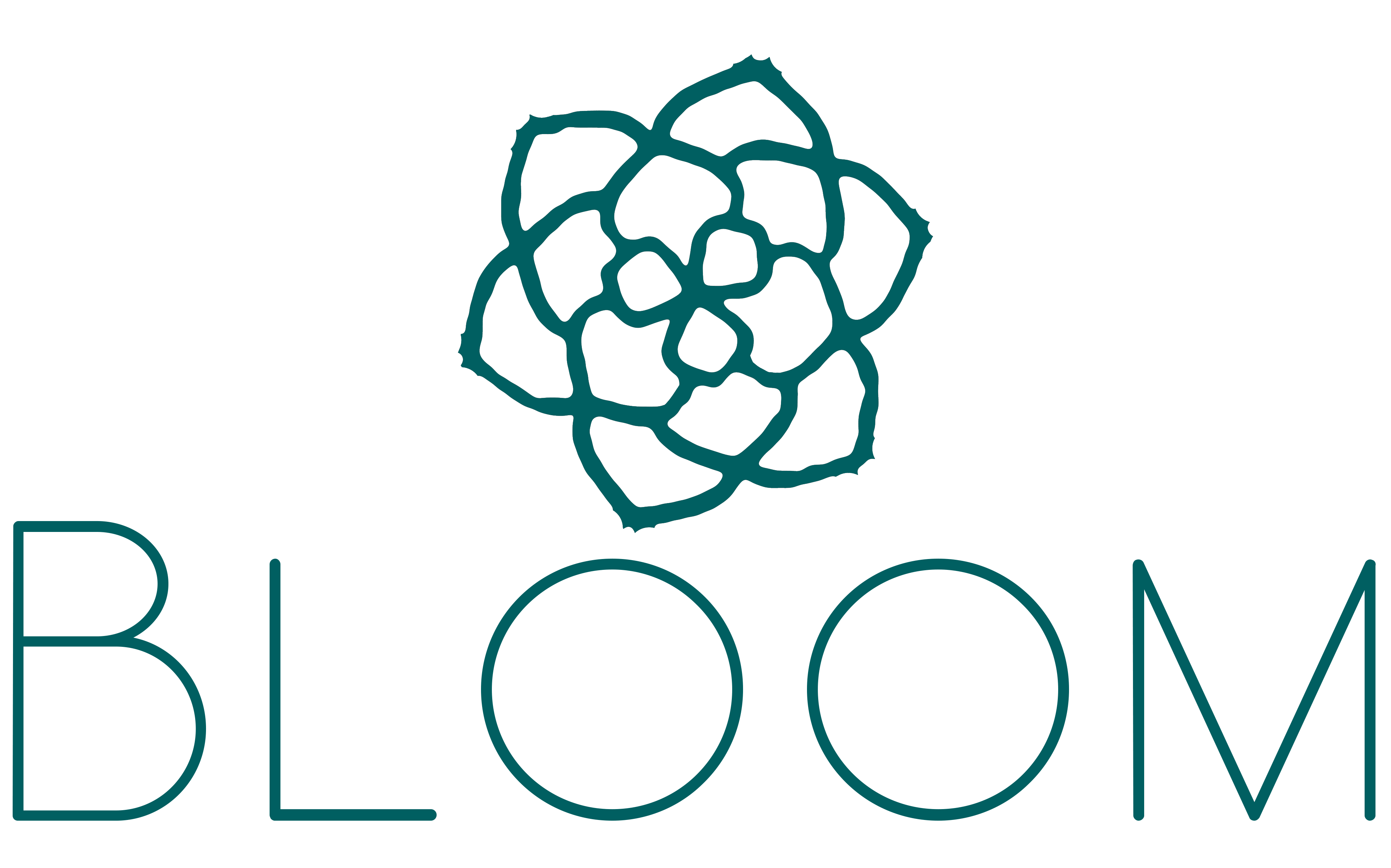 Terms and conditions - BLOOM