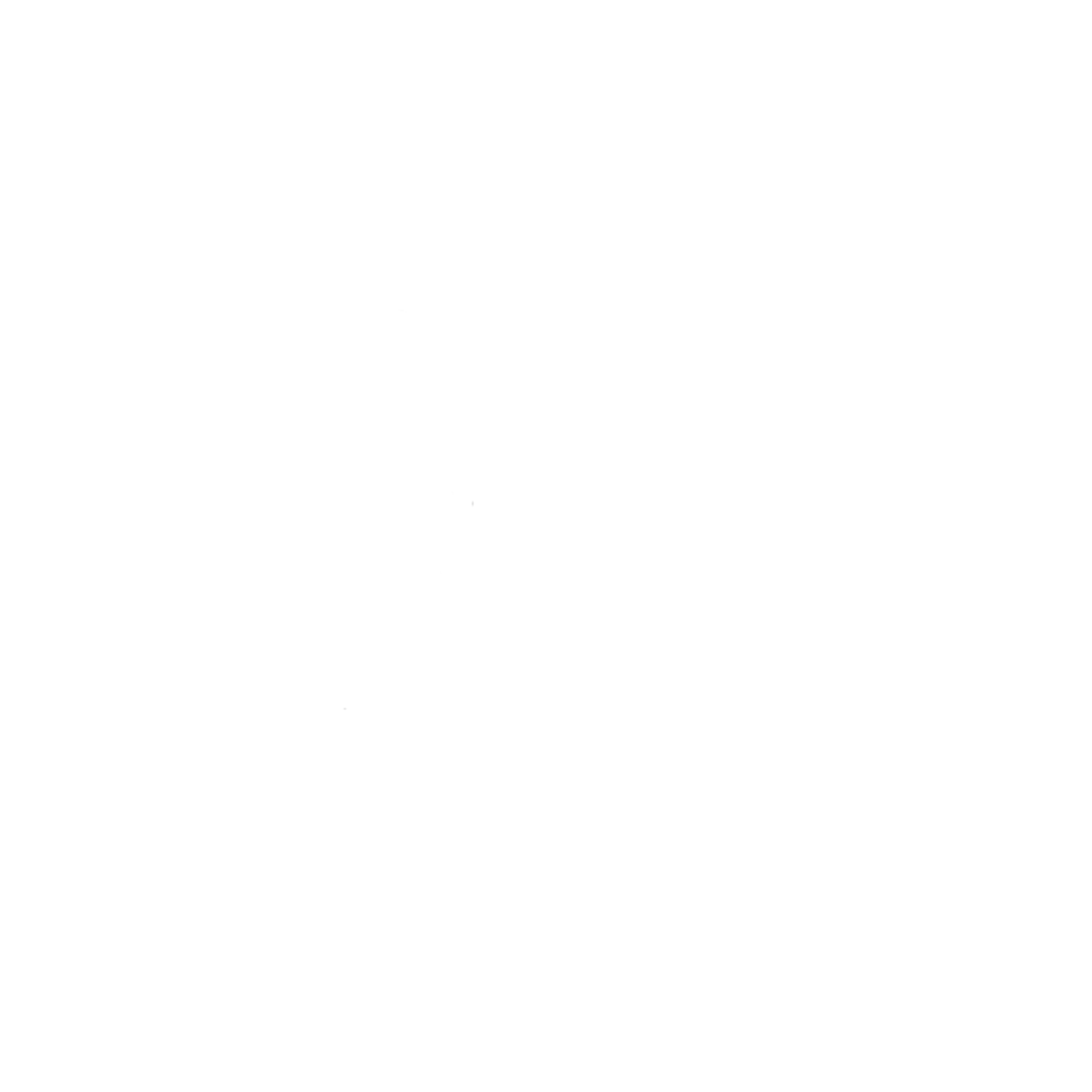 BLOOM Natural & Zero Waste Beauty - Our Concept